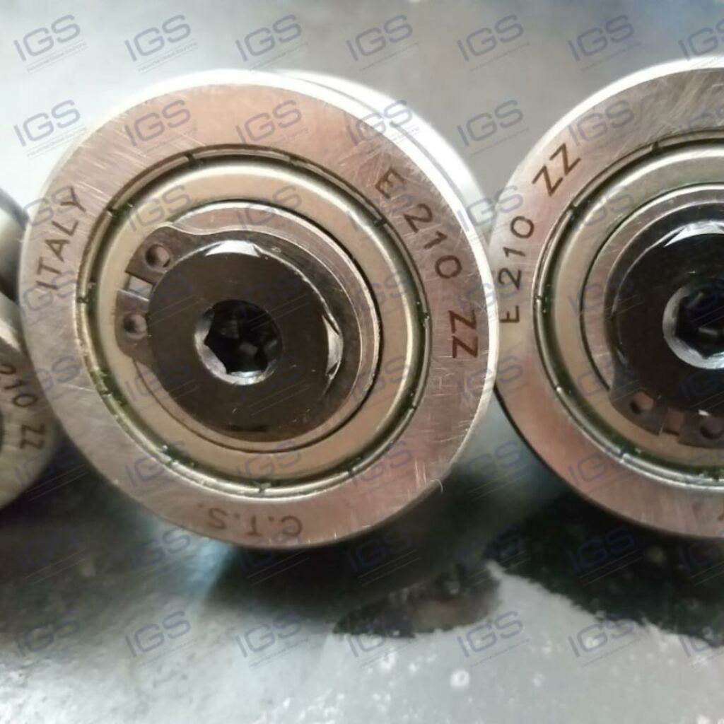 E210 ZZ Rolamento CTS | IGS Rolamentos